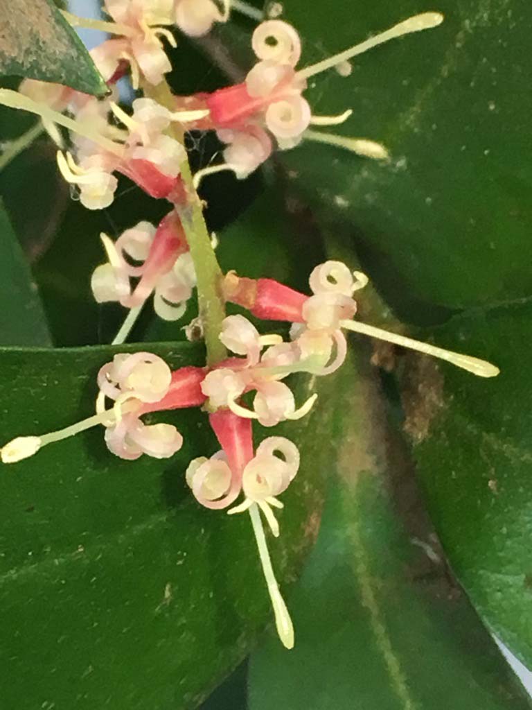 About – Cathryn Coutts